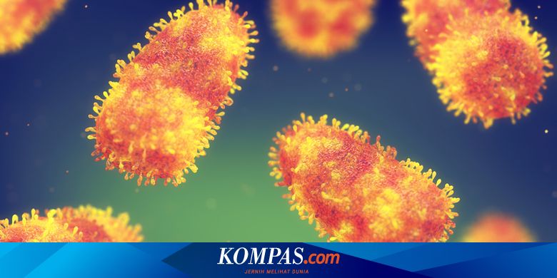 Viral Video Warga NTT Kena Rabies Berontak hingga Kaki dan Tangan Diikat