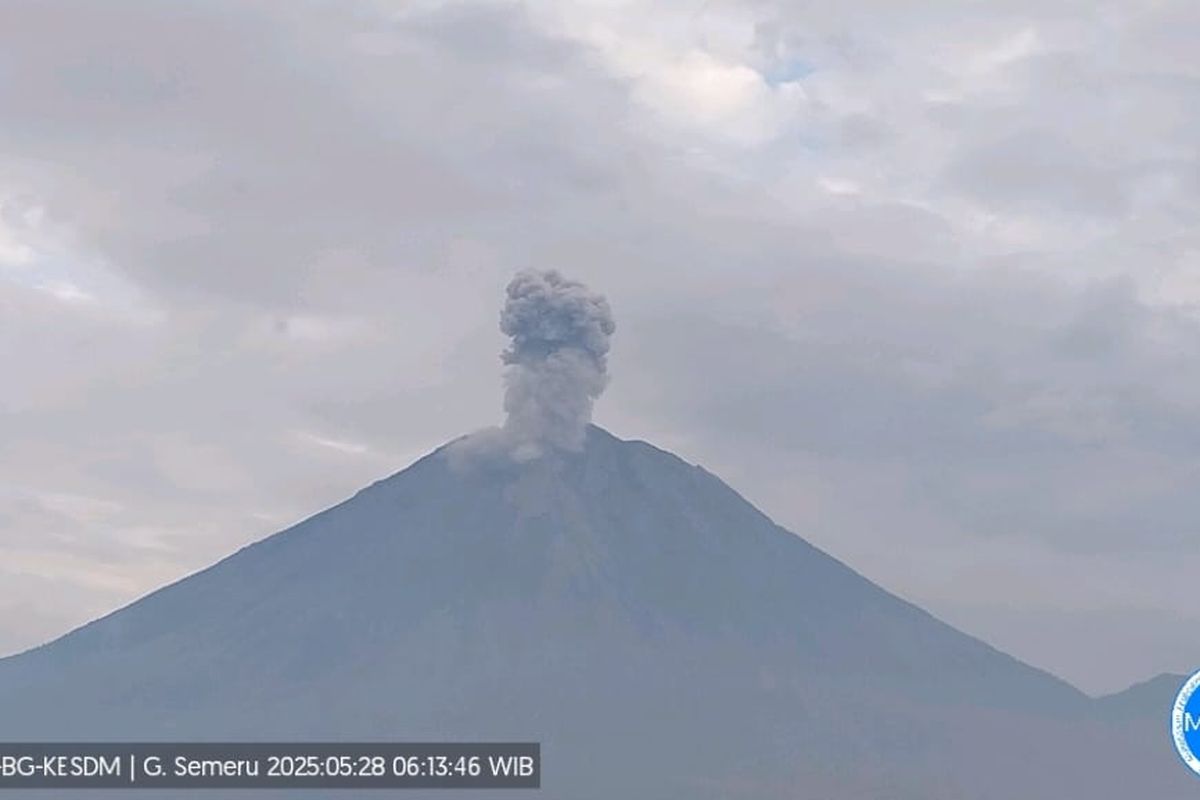 Rabu Pagi, Gunung Semeru Erupsi, Letuskan Kolom Abu Setinggi 1.200 Meter