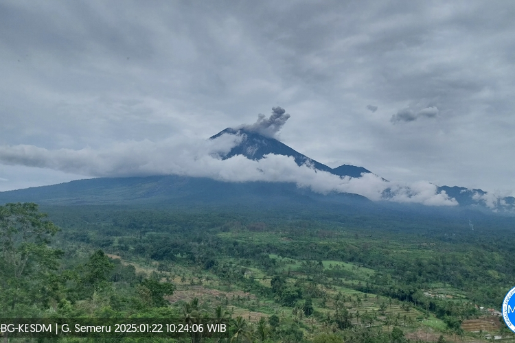 Foto : 7 Kali Erupsi, Gunung Semeru Keluarkan Kolom Abu Setinggi 800 Meter