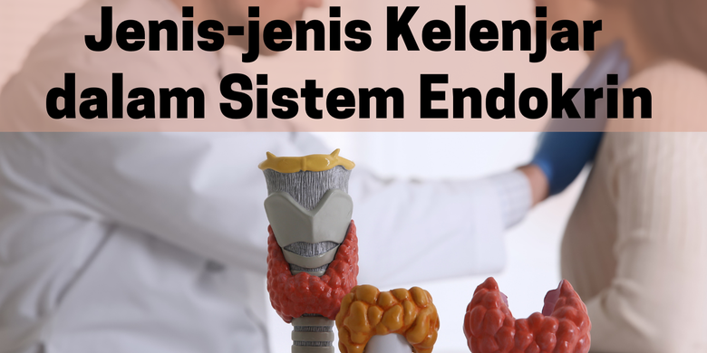 Berita Harian Kelenjar-anak-gondok Terbaru Hari Ini - Kompas.com