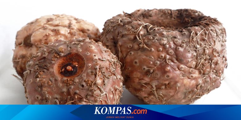 4 Beda Porang dan Suweg, dari Warna hingga Pengolahan