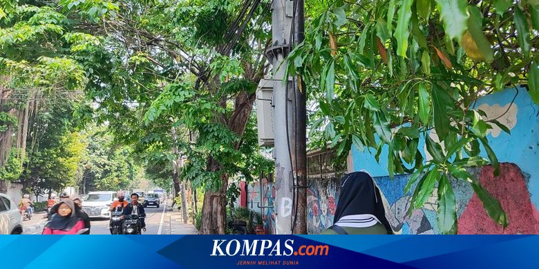 Pengemudi Ojol Tewas di Palmerah, Perusahaan Pemilik Kabel Diminta ...