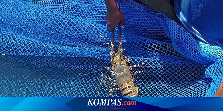 AP I Siap Kembangkan Bandara Frans Kaisiepo Biak untuk Ekspor Perikanan