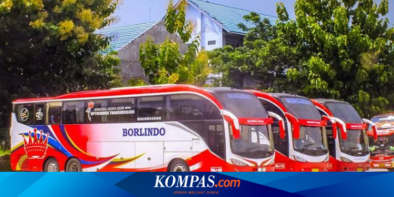 Jangan Salah, Ini Bedanya Bus Besar dengan Bus Maxi