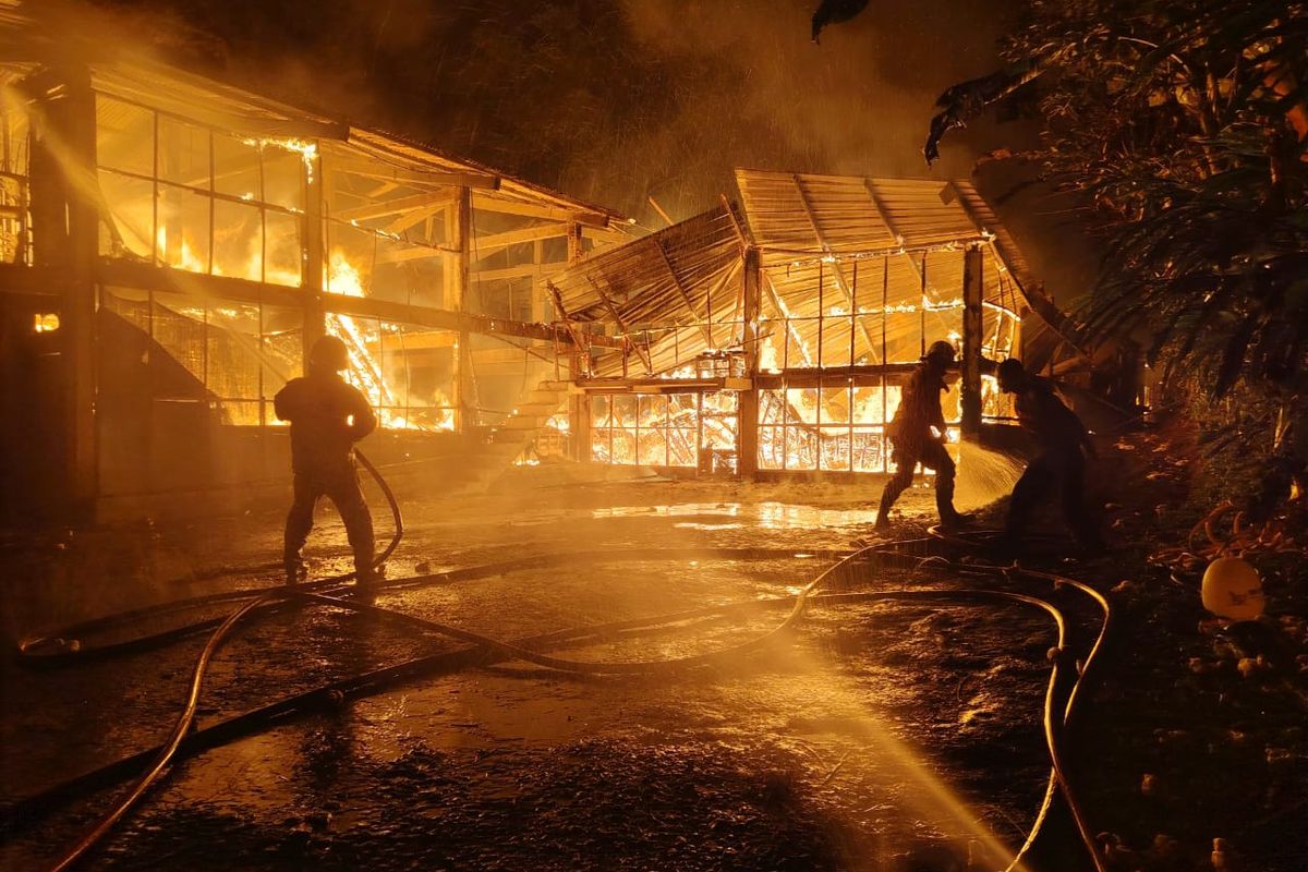 Kebakaran Kandang di Temanggung, 18.000 Ayam Mati Terpanggang, Kerugian Miliaran Rupiah