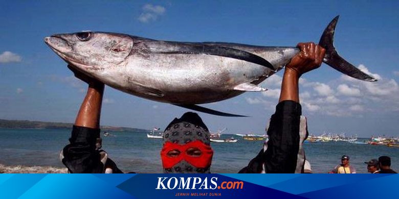 Kementerian Kelautan dan Perikanan Belajar Budidaya Tuna di Australia