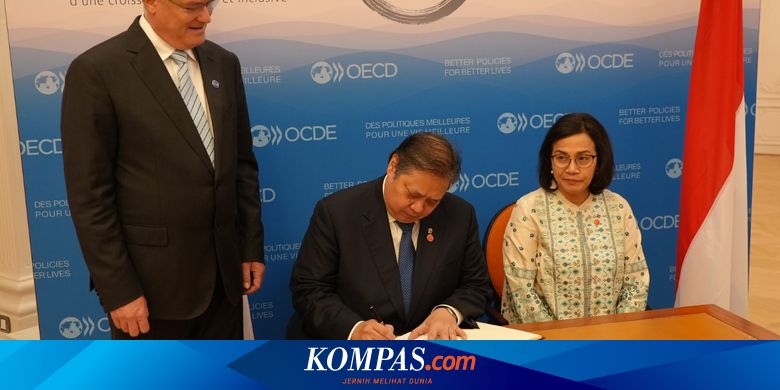 Pertemuan Tingkat Menteri OECD Dimulai, Menko Airlangga Bertemu Sekjen Cormann