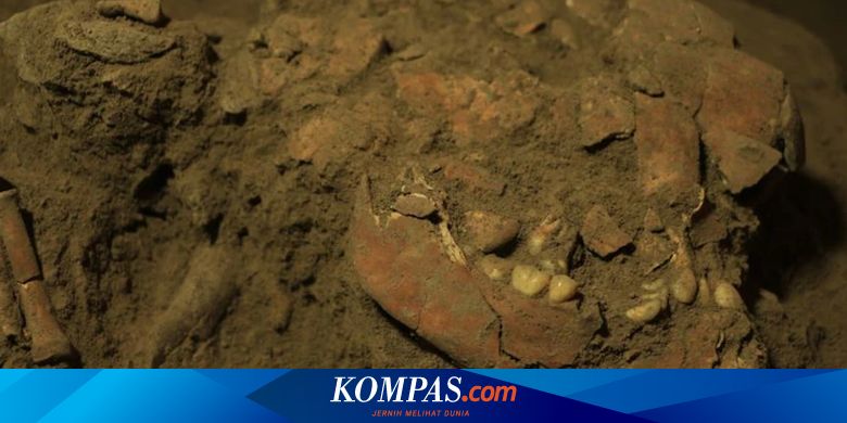 Fosil Manusia Purba di Toalean Sulawesi Ungkap Hubungan dengan Penduduk ...