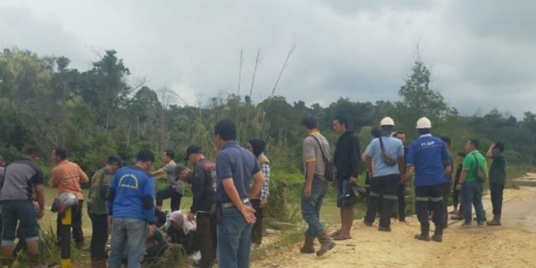 Berita Terkini Harian Pt Nusa Wana Raya Terbaru Hari Ini - Kompas.com