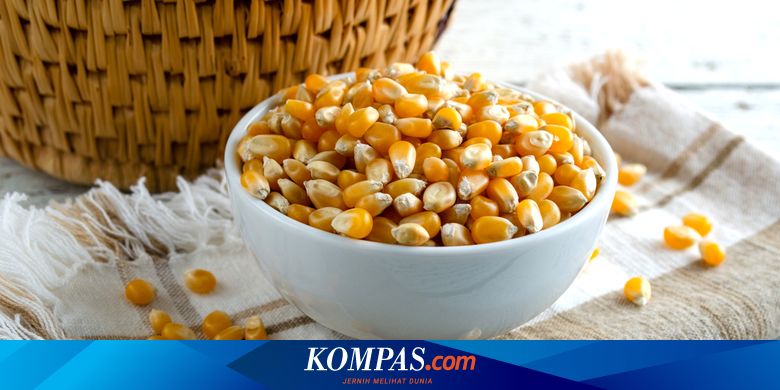 5 Tips Memilih Benih Jagung Manis Berkualitas