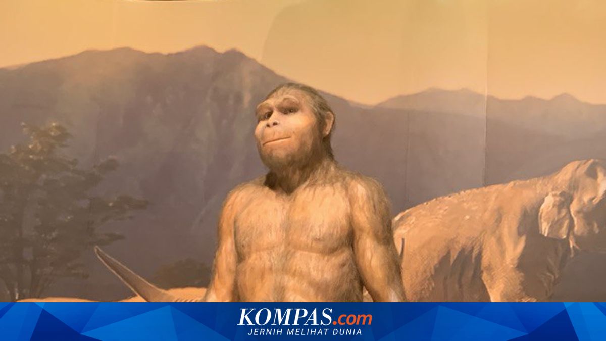 Pameran 130 Tahun Pithecanthropus Erectus Digelar di Museum Nasional