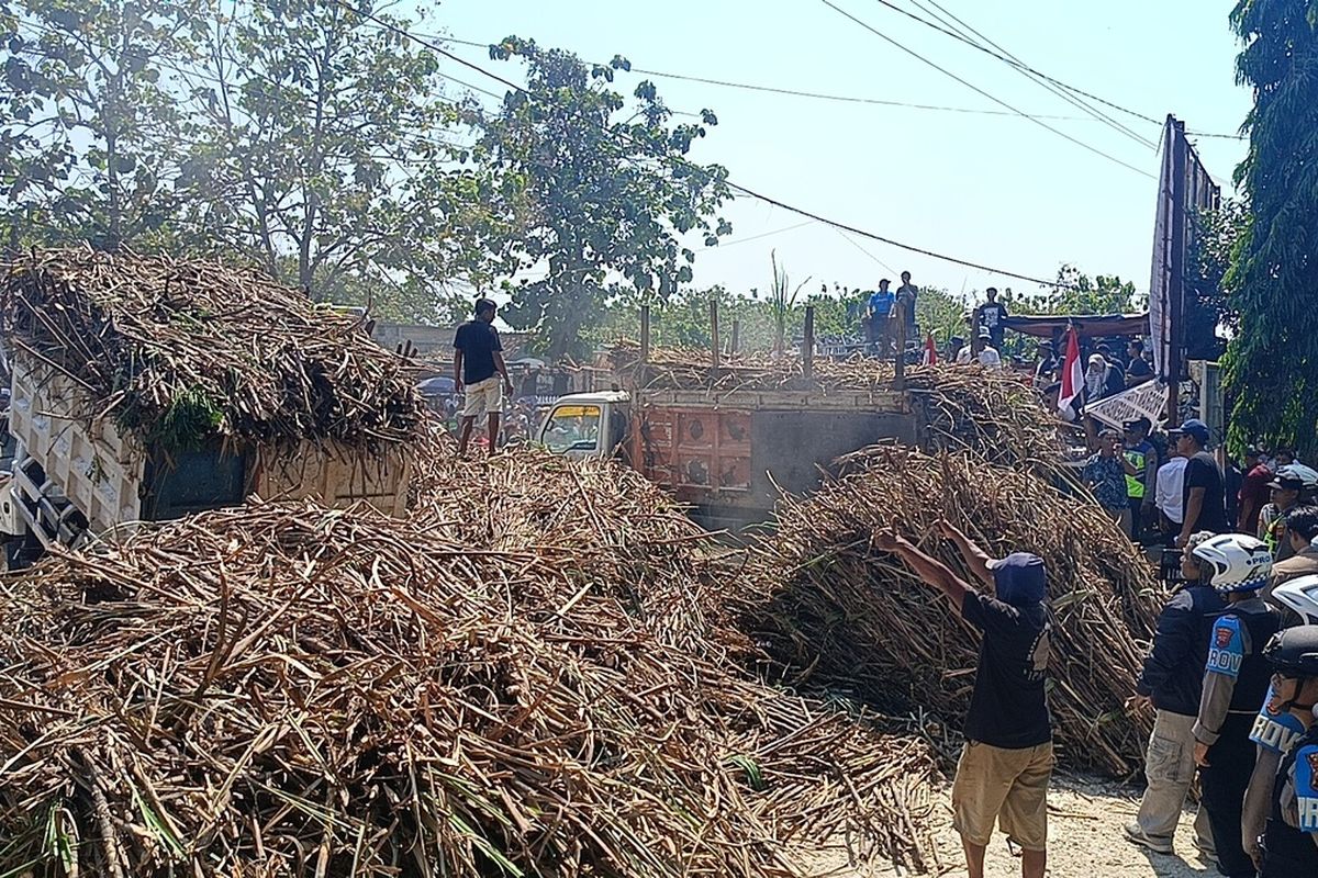 Janji Serap Tebu Belum Terwujud, Petani Blora Minta Klarifikasi Usai ...