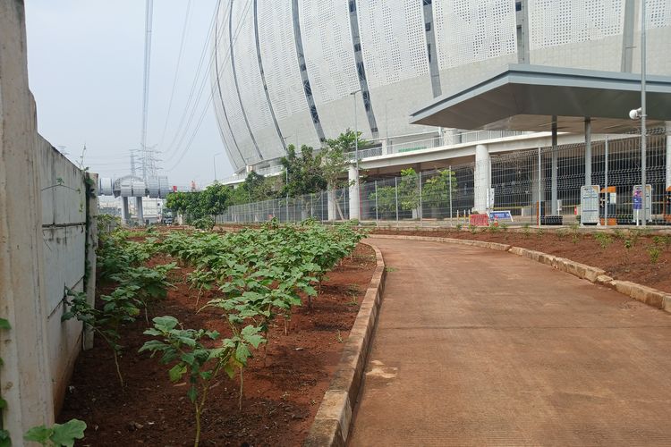 Fasilitas Kampung Susun Bayam, Ada Rooftop, Taman Bermain hingga Kebun