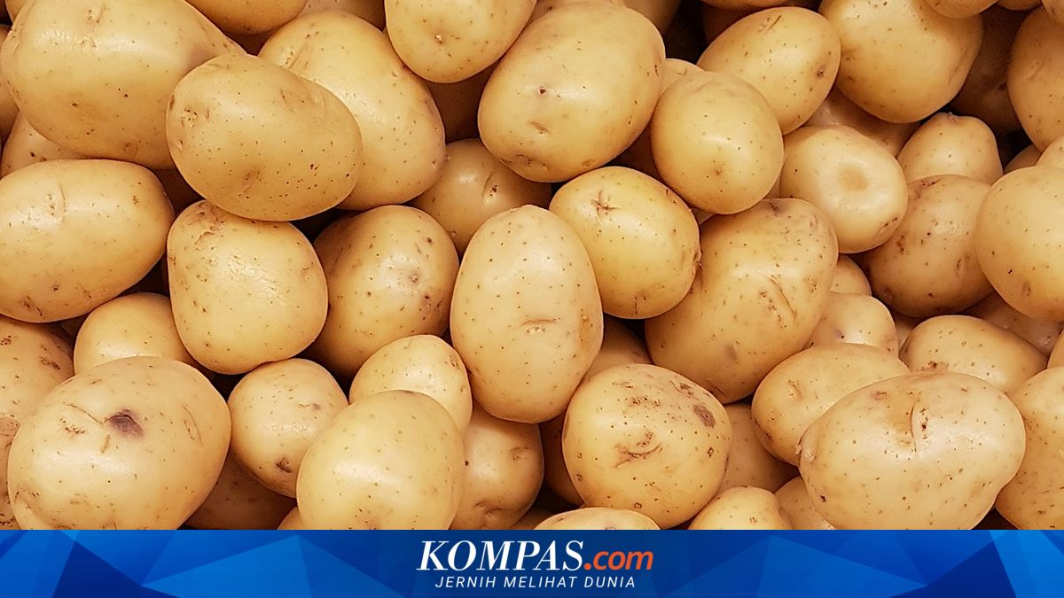 Kentang Tak Disarankan Disimpan di Kulkas, Ini Alasannya