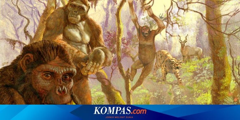 Ardi Fossil: New Insights into Human Ancestry Evolution - memesita.com ...