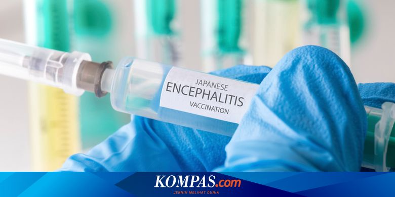 Kenali Apa Itu Japanese encephalitis, Penyebab, dan Gejalanya