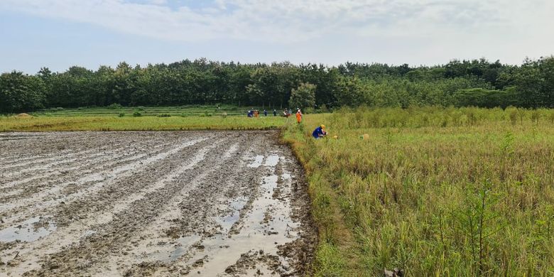 Berita Harian Pertamina Ep Cepu Field Terbaru Hari Ini - Kompas.com
