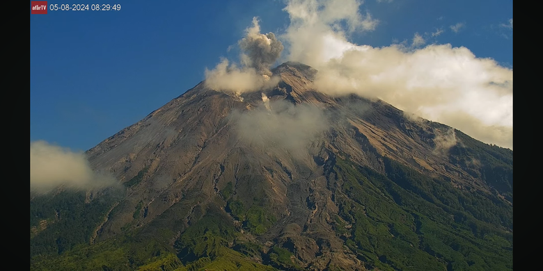 Berita Terkini Harian Gunung Semeru Luncurkan Guguran Terbaru Hari Ini - Kompas.com