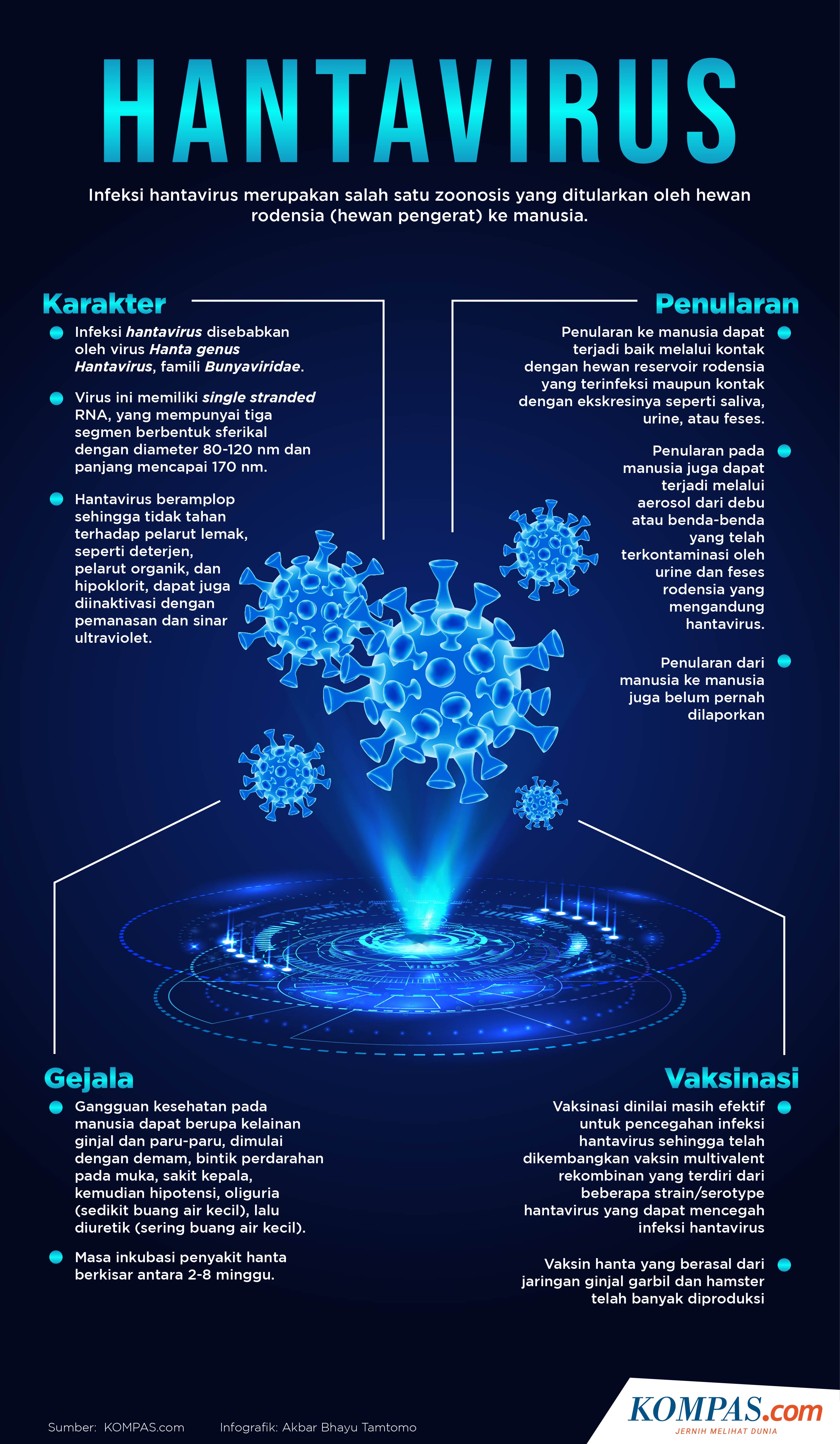 INFOGRAFIK: Hantavirus