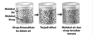 Mengapa Difusi Termasuk Transpor Pasif melalui Membran Sel? Ini ...