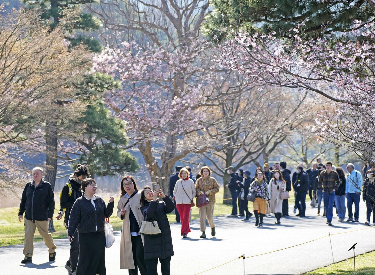 Area Terlarang Istana Kekaisaran Tokyo Dibuka, 500 Orang Antre Lihat Sakura