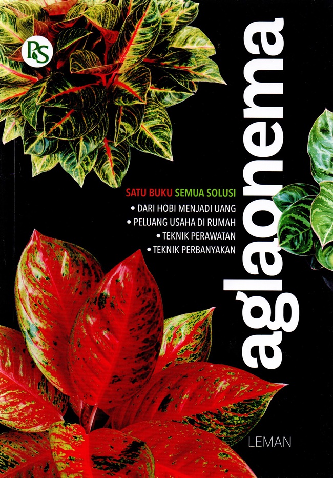 6 Cara Merawat Bunga Aglaonema, Tanaman Hias yang Lagi Hits - Kompas.com