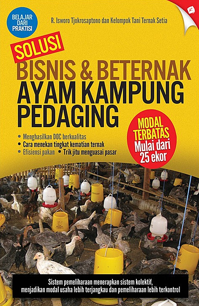 Peluang Usaha yang Menggiurkan, Simak Tips Bisnis Ayam Petelur Berikut Ini - Kompas.com
