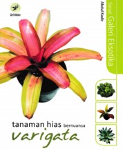 Cara Mudah Memunculkan Varigata pada Tanaman Monstera - Kompas.com