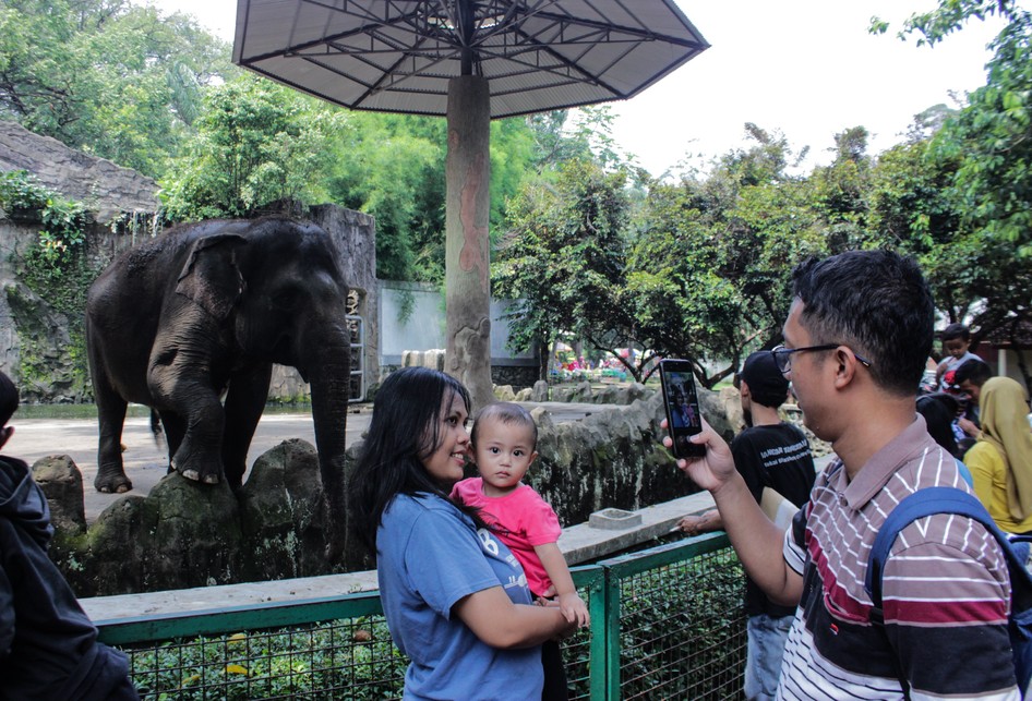 Manfaatkan Libur Natal, Warga Berkunjung ke Taman Margasatwa Ragunan