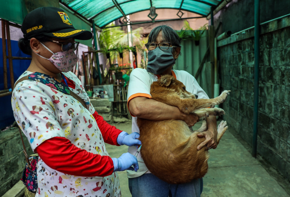 Cegah Penularan Rabies, Hewan Peliharaan di Jakarta Divaksin